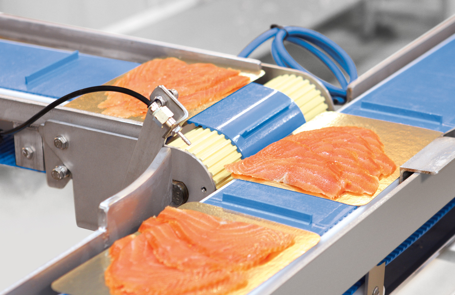 The risks of contamination and how to ensure food safety in processing